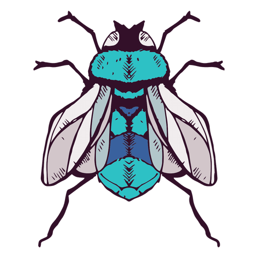 Ilustración de mosca - Descargar PNG/SVG transparente