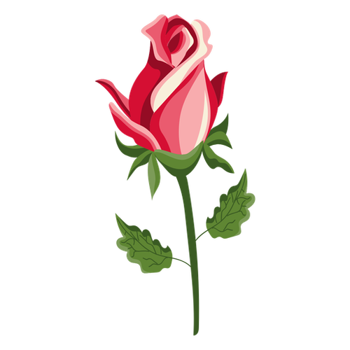 Capullos De Rosa Con Textura Vectorial