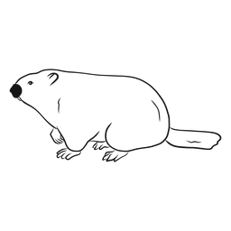 Groundhog Side View Sketch Vector PNG & SVG Design For T-Shirts
