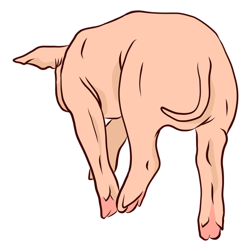 Pig tail hoof illustration - Transparent PNG & SVG vector file