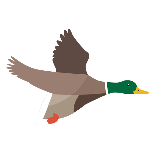 Duck flying flat - Transparent PNG & SVG vector file