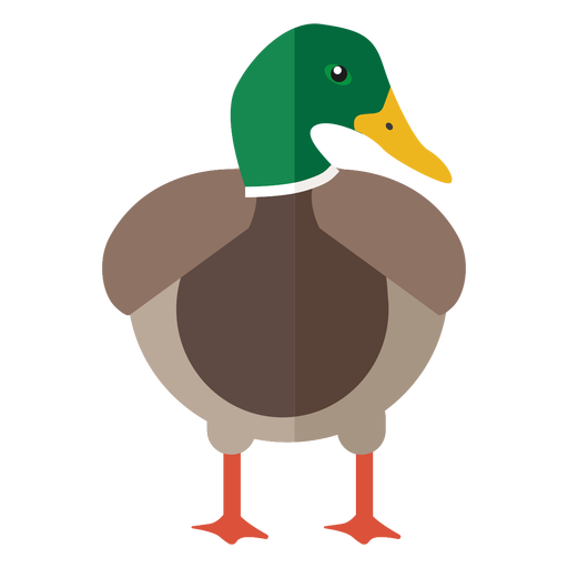 Duck front view flat - Transparent PNG & SVG vector file
