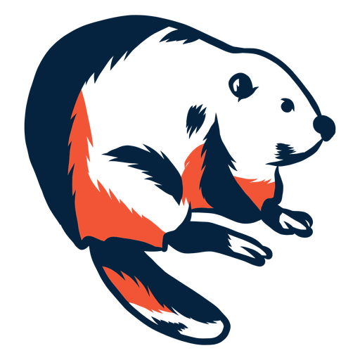 Beaver illustration - Transparent PNG & SVG vector file