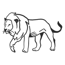 Diseño PNG Y SVG De Doodle De Cola De Rey De Melena De León Para Camisetas