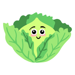 Design PNG E SVG De Repolho De Folha Liso Para Camisetas