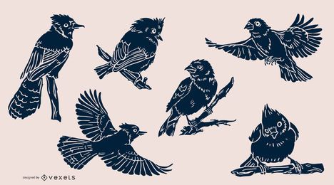 Realistic Birds Pack Vector Download