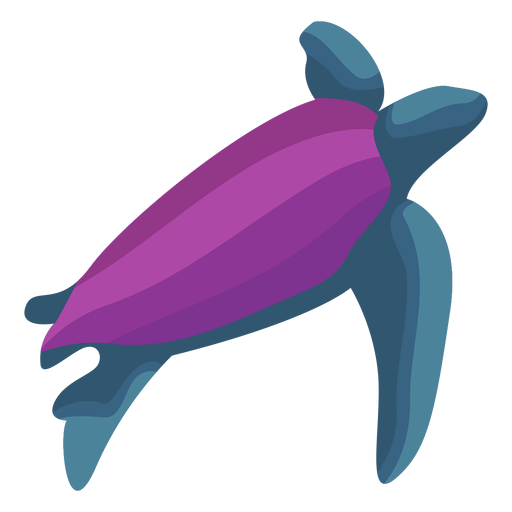 Turtle shell flat - Transparent PNG & SVG vector file