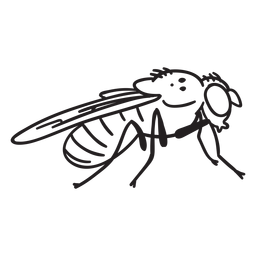 Fly Drawing Simple PNG & SVG Design For T-Shirts