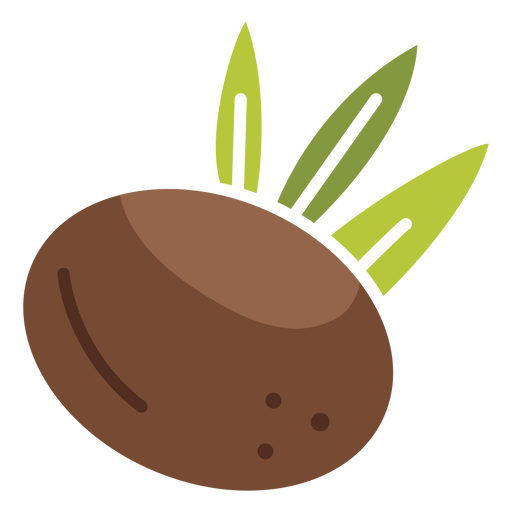 Icono de coco - Descargar PNG/SVG transparente
