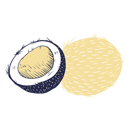 Two Coconuts PNG & SVG Design For T-Shirts