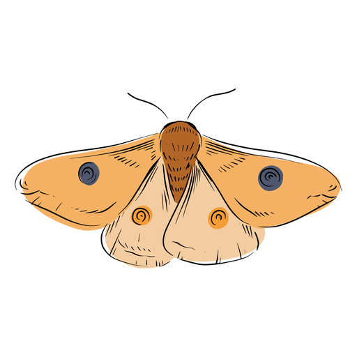 Moth illustration - Transparent PNG & SVG vector file
