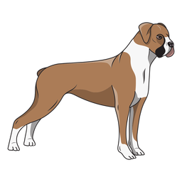 Side Boxer Dog Illustration PNG & SVG Design For T-Shirts