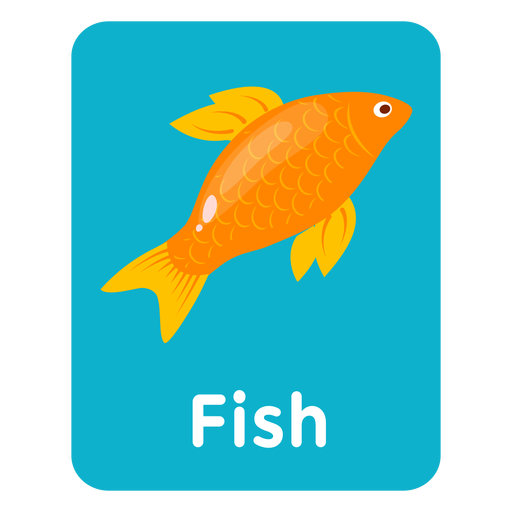 Flashcard de vocabulario de peces - Descargar PNG/SVG transparente
