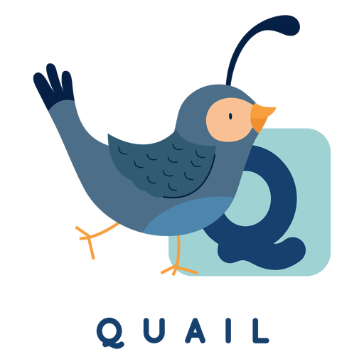 Letter q quail alphabet - Transparent PNG & SVG vector file