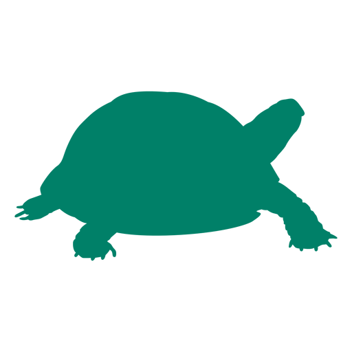 Walking tortoise silhouette - Transparent PNG & SVG vector file