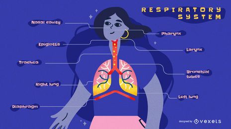 Respiratory System Infographic Template Vector Download