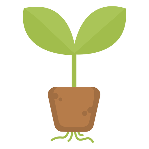 Cute plant roots - Transparent PNG & SVG vector file