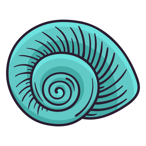 Muscheln Nautilus Hand gezeichnet - Transparenter PNG und SVG-Vektor