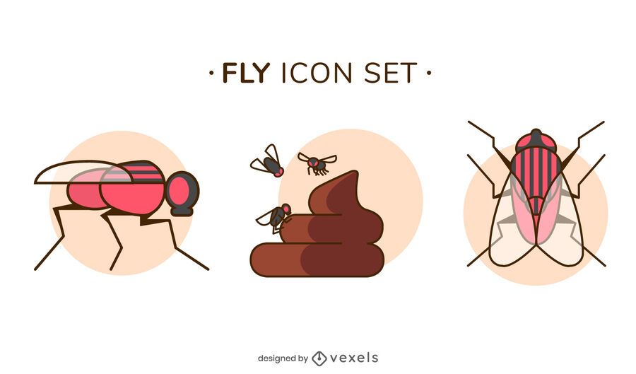 Conjunto De Iconos De Mosca - Descargar Vector