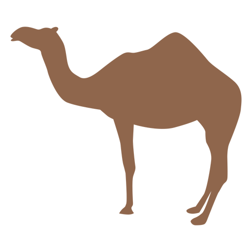 Camel profile brown silhouette - Transparent PNG & SVG vector file