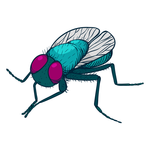 Mosca colorida ilustración - Descargar PNG/SVG transparente