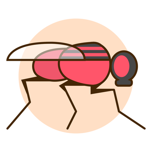 Icono de mosca insecto - Descargar PNG/SVG transparente