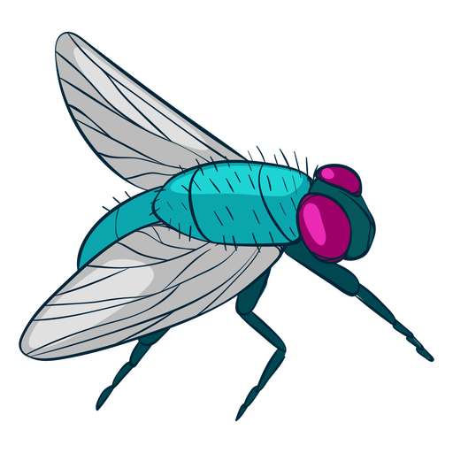 Ilustración de mosca de vista lateral - Descargar PNG/SVG transparente
