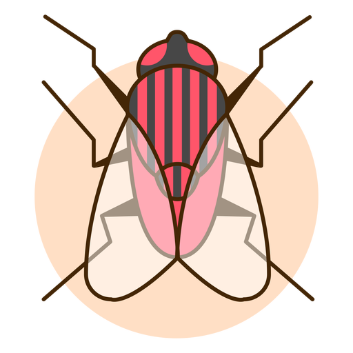 Ilustración de icono de mosca de vista superior - Descargar PNG/SVG ...