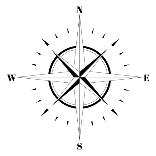 Cool Compass Rose Designs