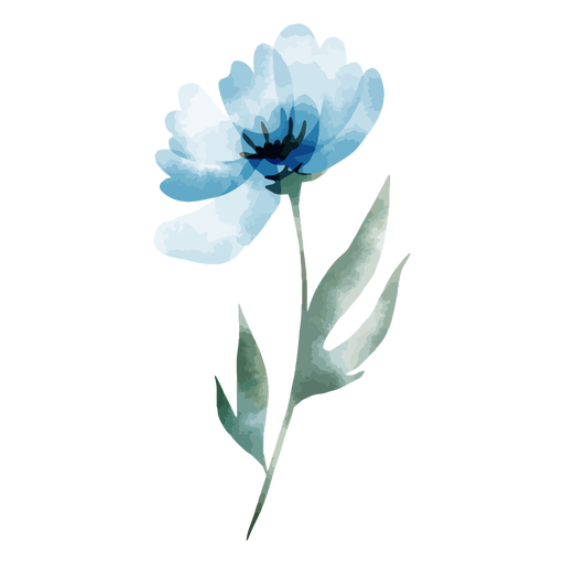 Acuarela flor turquesa - Descargar PNG/SVG transparente