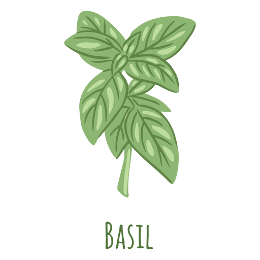 Basil herb flat - Transparent PNG & SVG vector file