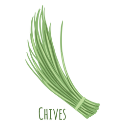 Chives Herb Flat PNG & SVG Design For T-Shirts
