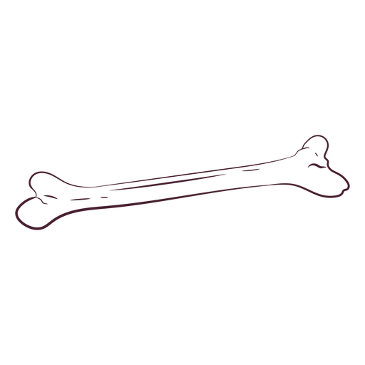 Diseños Png De Huesos Para Camisetas And Merch