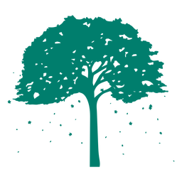 Leafy Tree Silhouette PNG & SVG Design For T-Shirts
