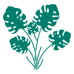 Monstera Plant Cut Out PNG & SVG Design For T-Shirts