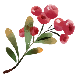 Cherry Fruits Watercolor PNG & SVG Design For T-Shirts