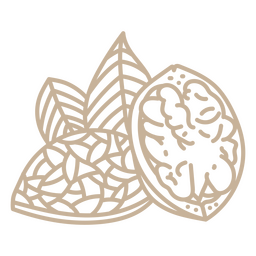 Walnut Cut In Half Stroke Design PNG & SVG Design For T-Shirts