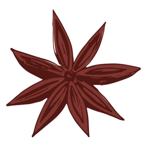 Star Anise PNG Designs For T Shirt Merch