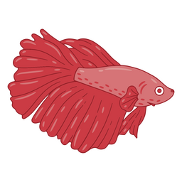 Red Betta Fish PNG & SVG Design For T-Shirts