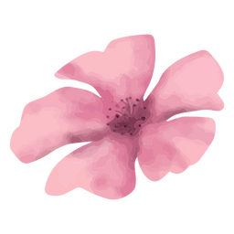 Spring Flower Textured Pink Transparent PNG & SVG Vector