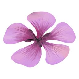 Violet Flower Textured PNG & SVG Design For T-Shirts