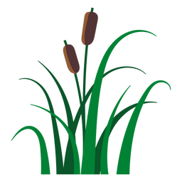 Aquatic Plant Flat Reed PNG & SVG Design For T-Shirts