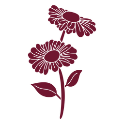 Daisies Flowers Silhouette PNG & SVG Design For T-Shirts