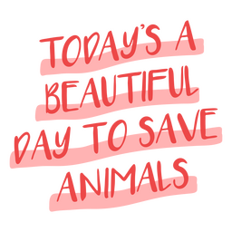 Beautiful Day To Save Animals Veterinarian Quote PNG & SVG Design For T ...