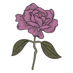 Purple Rose Illustration PNG & SVG Design For T-Shirts