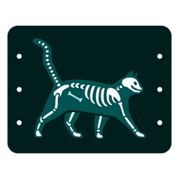 Kitty Vet X-rays Illustration PNG & SVG Design For T-Shirts
