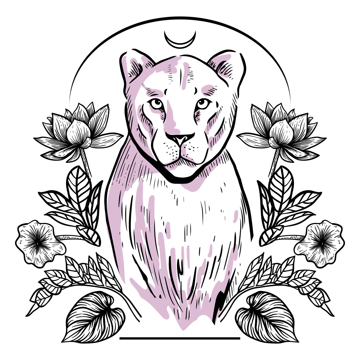 Lioness Profile Drawing