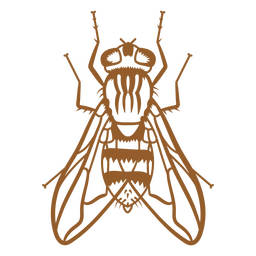 Fly Stroke Design PNG & SVG Design For T-Shirts