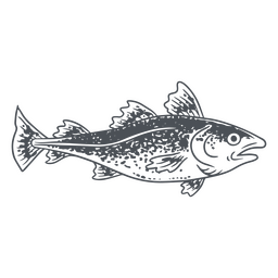 A Drawing Of A Cod Fish PNG & SVG Design For T-Shirts