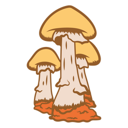 Mushroom Foraging PNG & SVG Design For T-Shirts